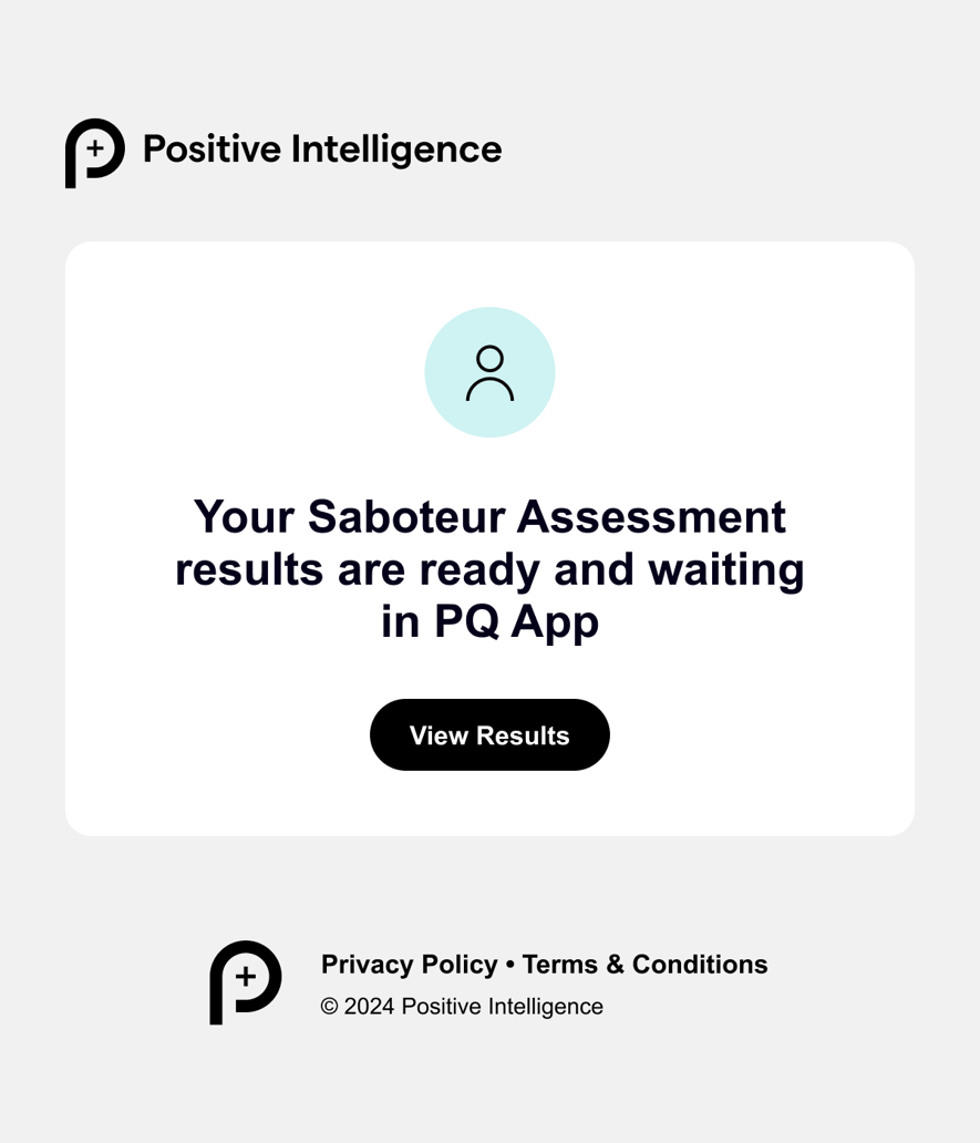 Saboteur Assessment FAQs
